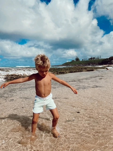 Lain Snow Ro Mini Trunk | Mint – Tropical Goddess